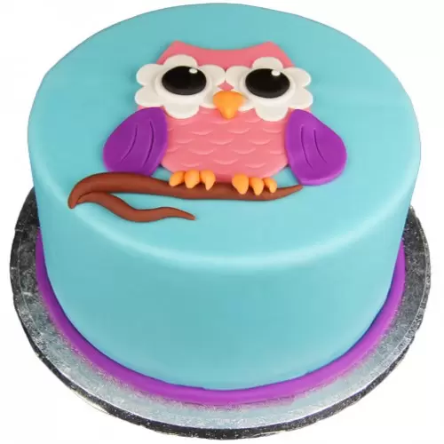 Order Owl Theme Fondant Cake Online — Delivery In East Delhi And Noida ...